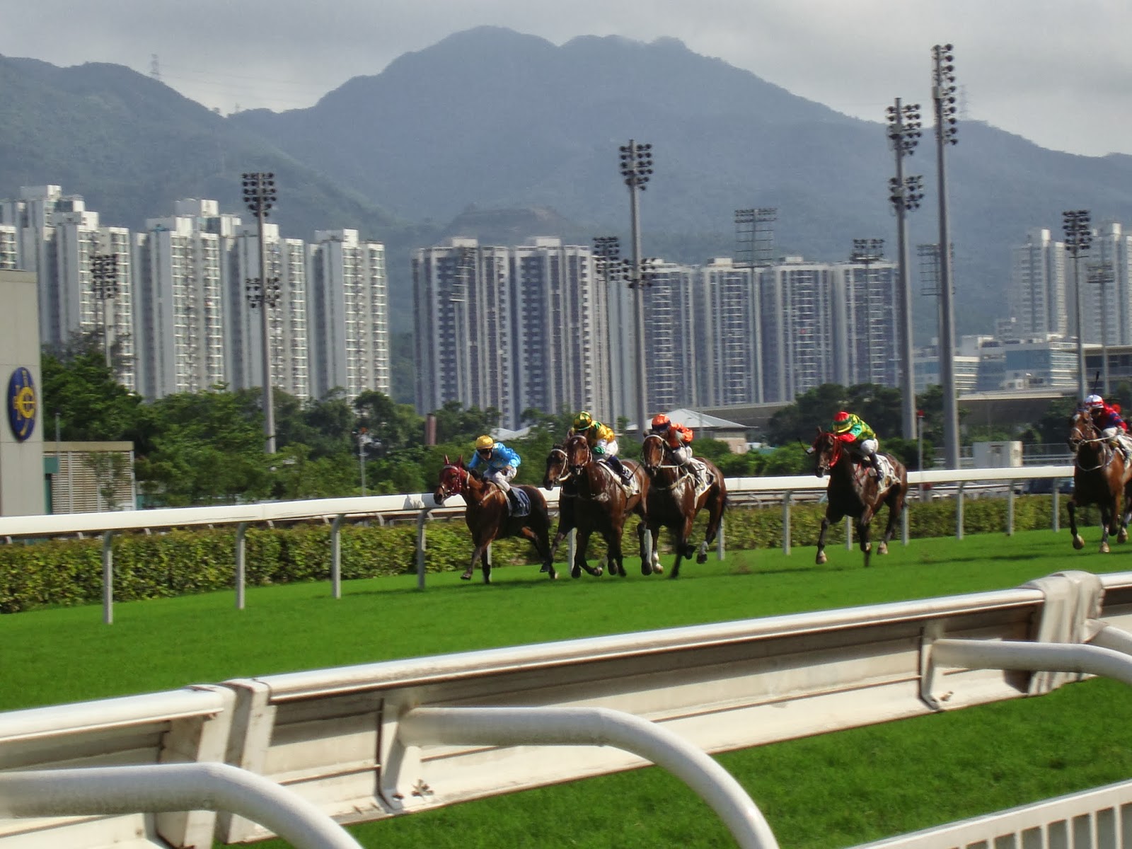 Hong Kong: An Asian American Perspective: Shatin Racecourse