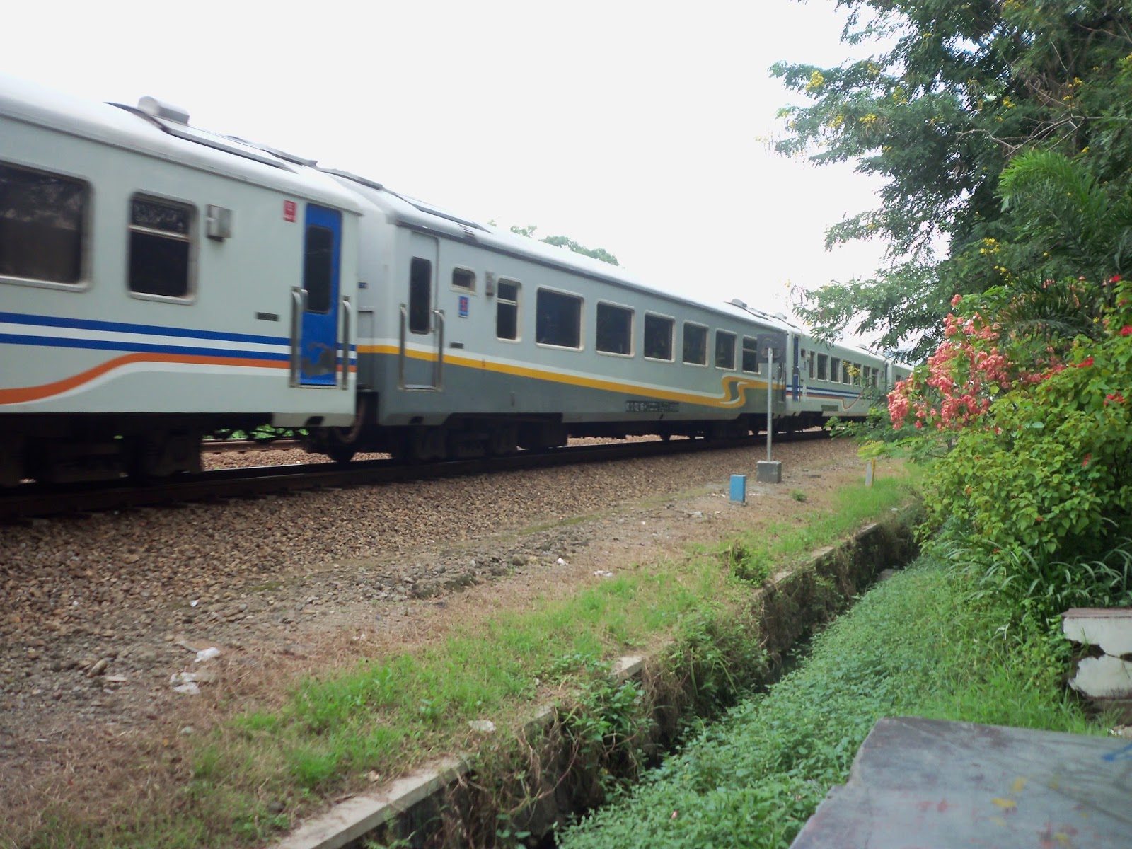 Railfans S35: Kereta Api Argo Wilis (Indonesian Version)