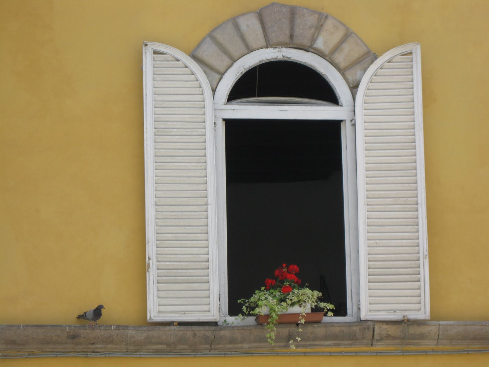 Italian Window Boxes and Planters