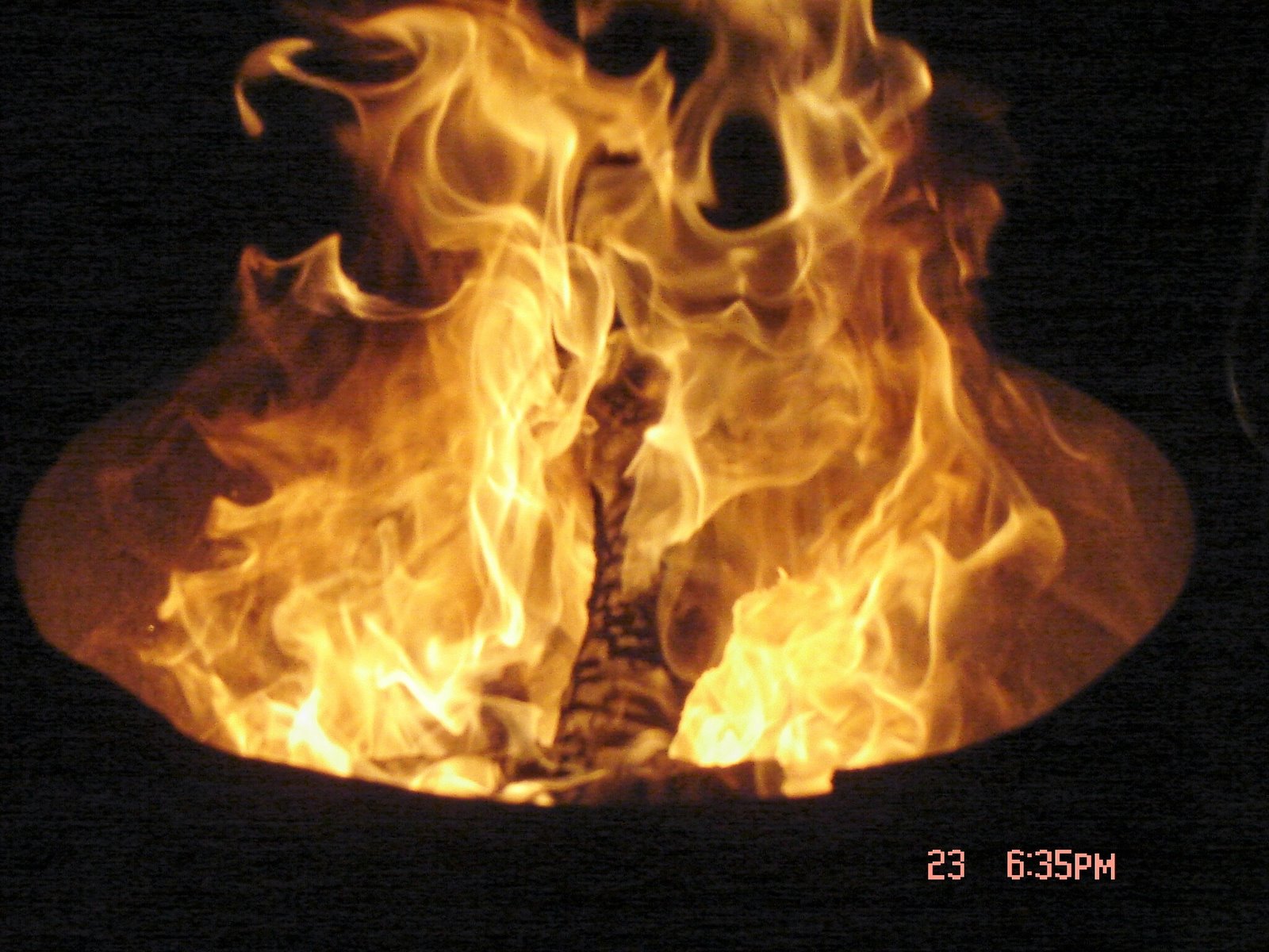 Jungle Botanica: Samhain