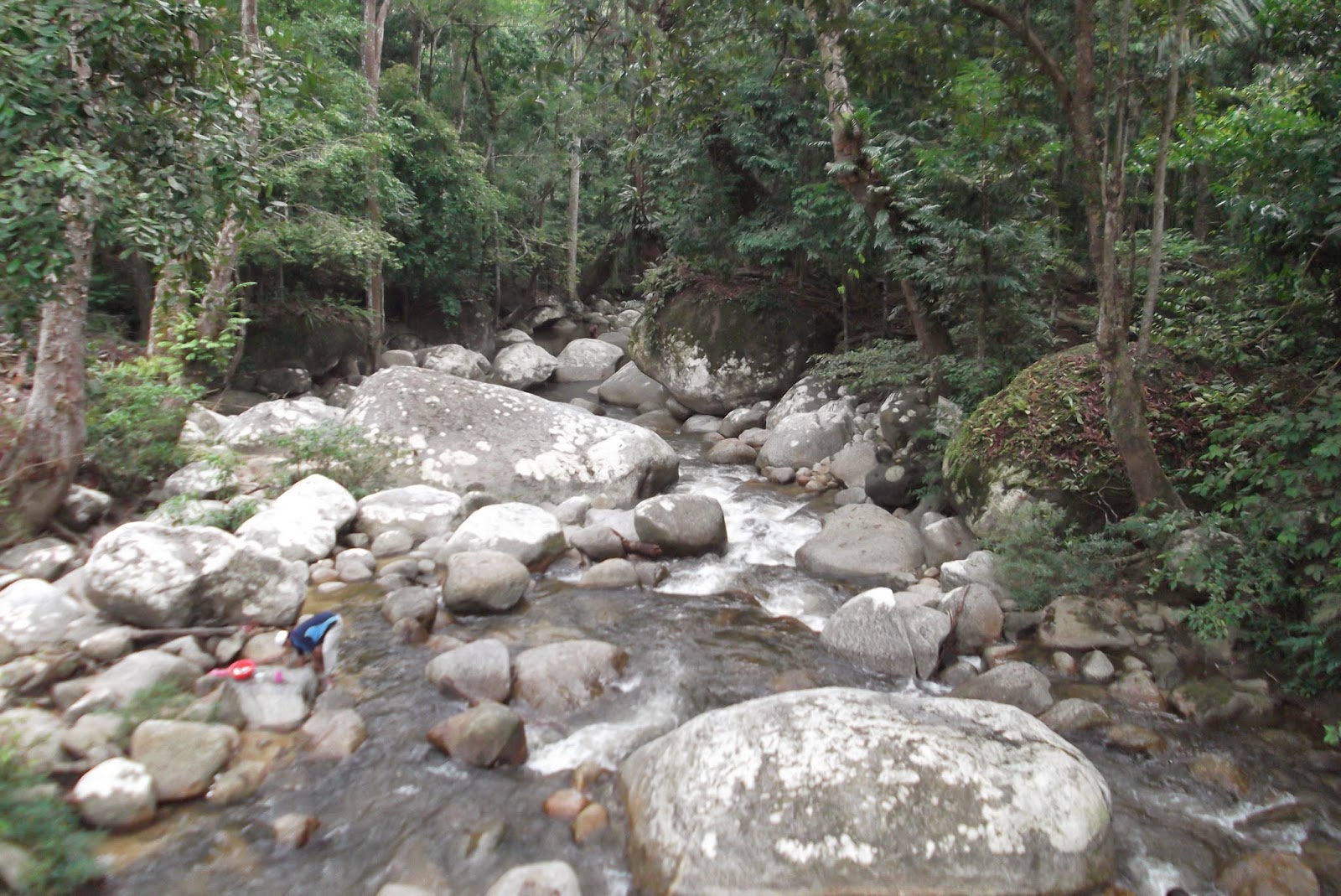 MENCARI CINTA ABADI: Sekitar Pemandangan di Hutan Lipur Ulu Kenas