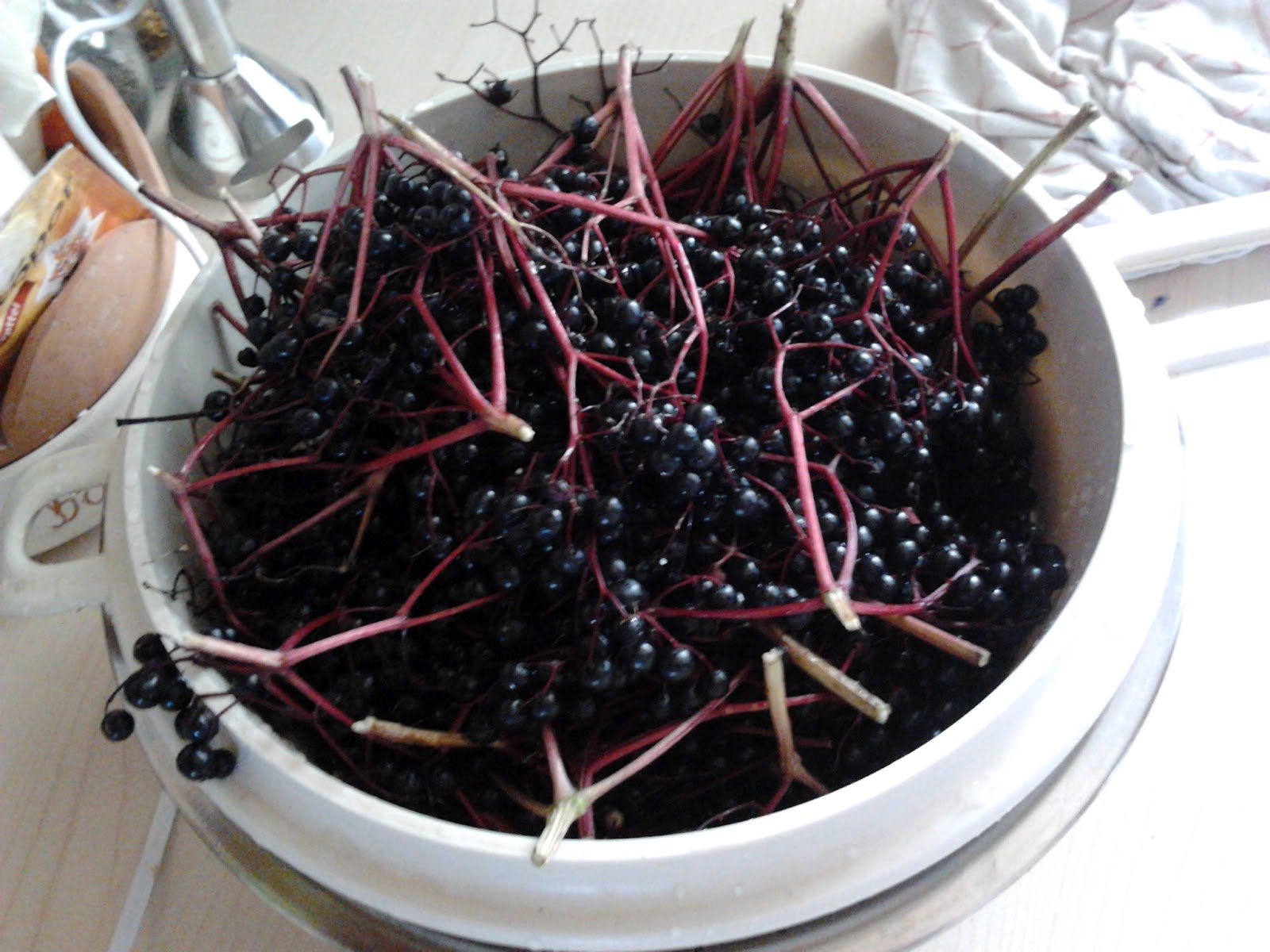 Szappandy: BODZABOGYÓ szirup, avagy gumibogyó szörp bodzából