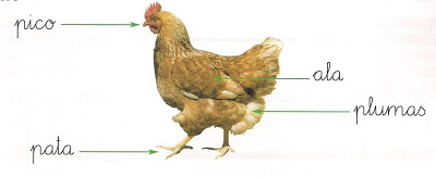 El Bosque Animado: MIS AMIGOS LOS ANIMALES