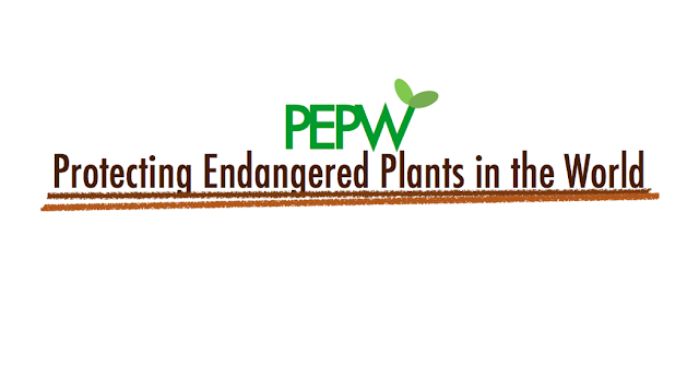 PEPW; Protect Endangered Plants in the World: PEPW Logo