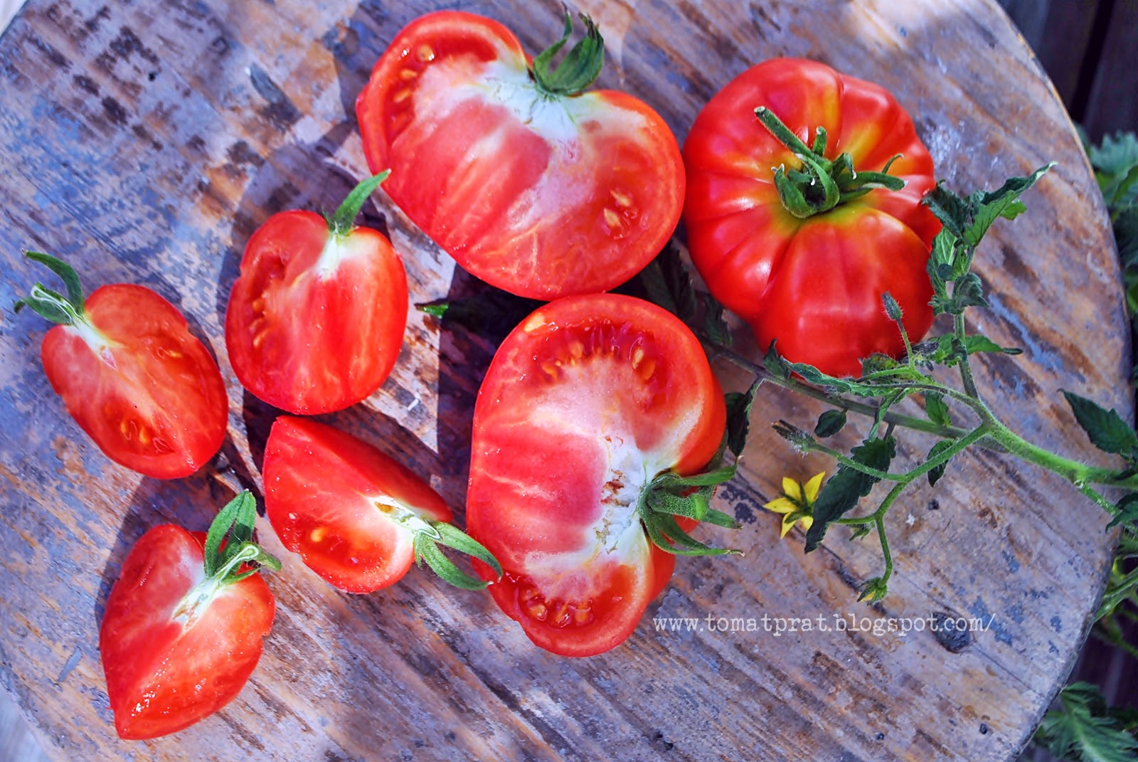Talkin' Tomatoes with Helene: Oxheart Tomato