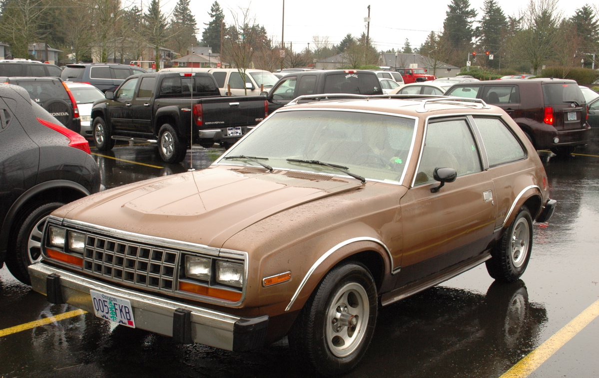 OLD PARKED CARS.: 1981 AMC Spirit Kammback.