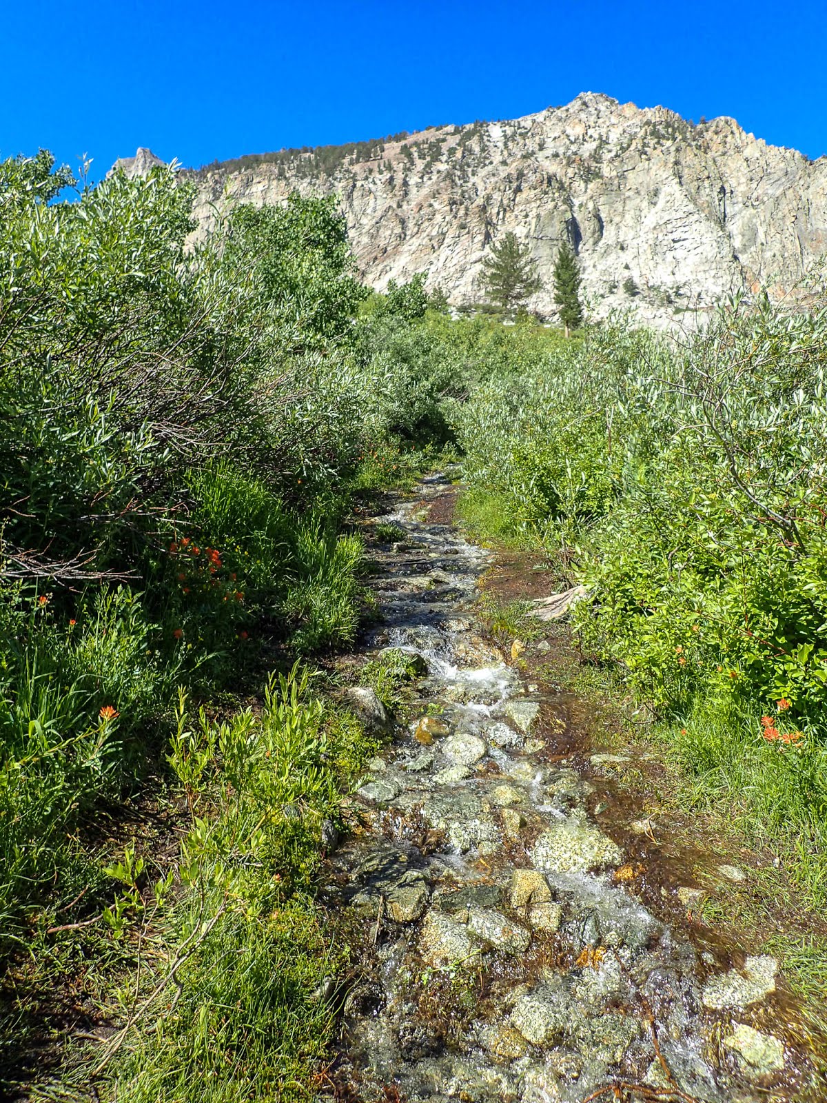 Mount Warren Via Lake Canyon And Lake Oneida WTC Experience Trip ...