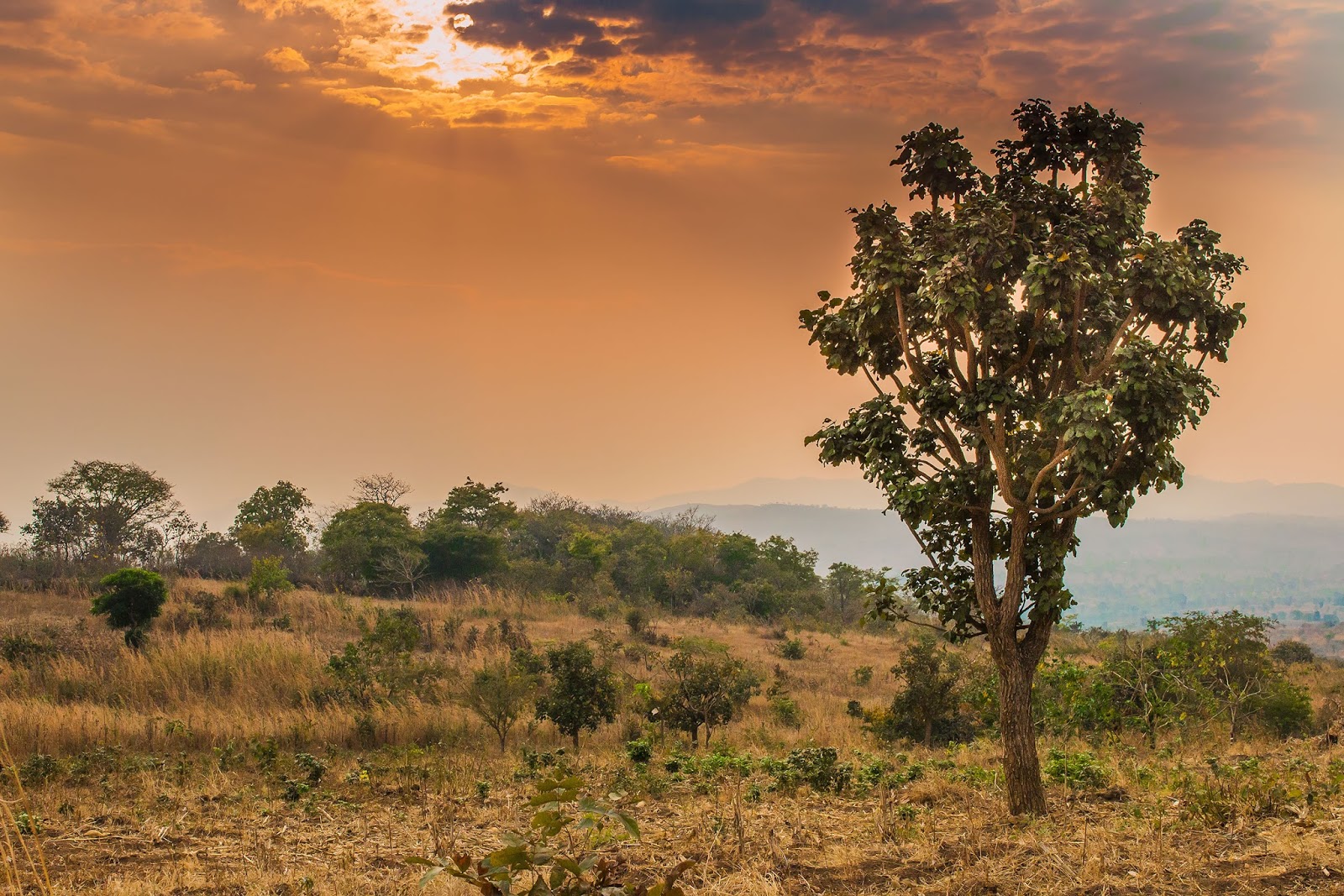 With Chibuka in tow, enjoying the sunset in Malawi...