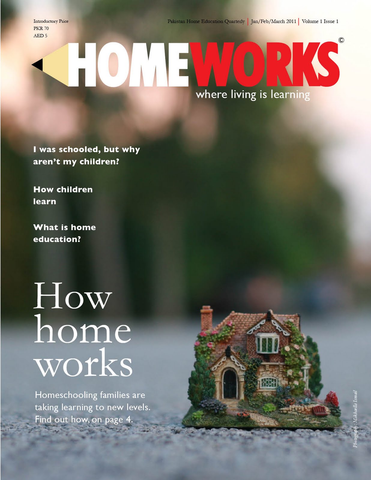 Chronicles of Pirani: Introducing: "Homeworks: where learning is living!'