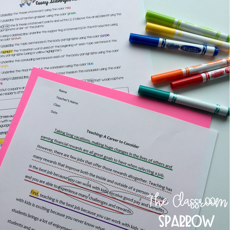 5 Steps to Essay Teaching Success | The Classroom Sparrow