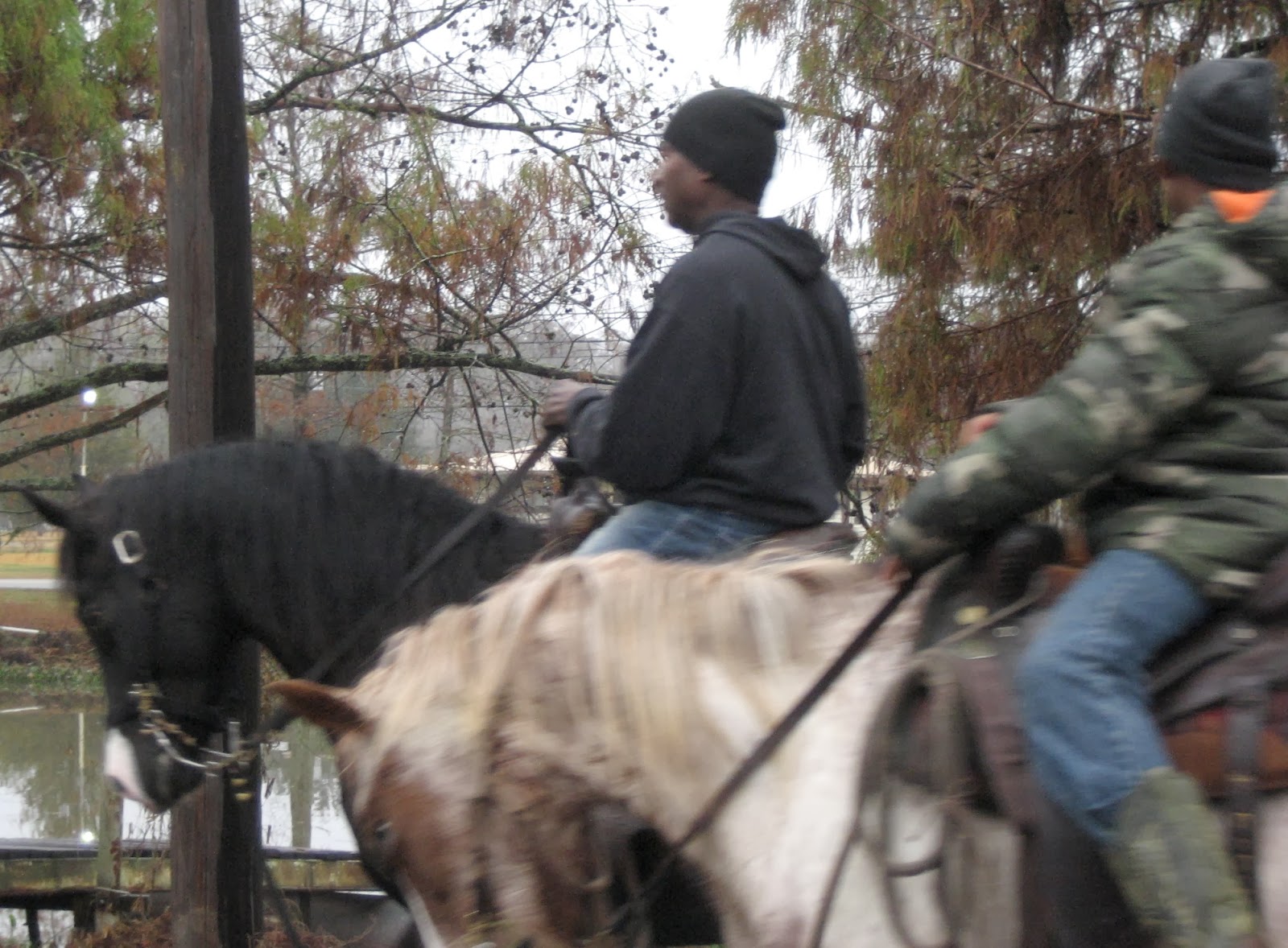 Living Rootless: Louisiana: Pierre Part: Christmas Parade and Gumbo