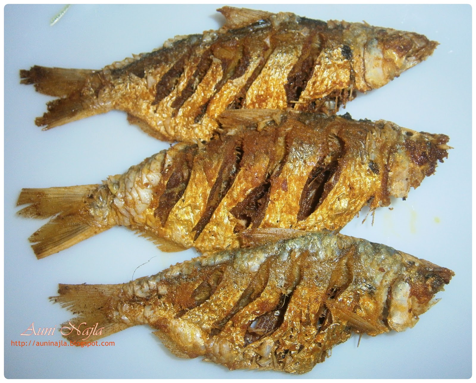 part of life: Terubuk Comel Goreng