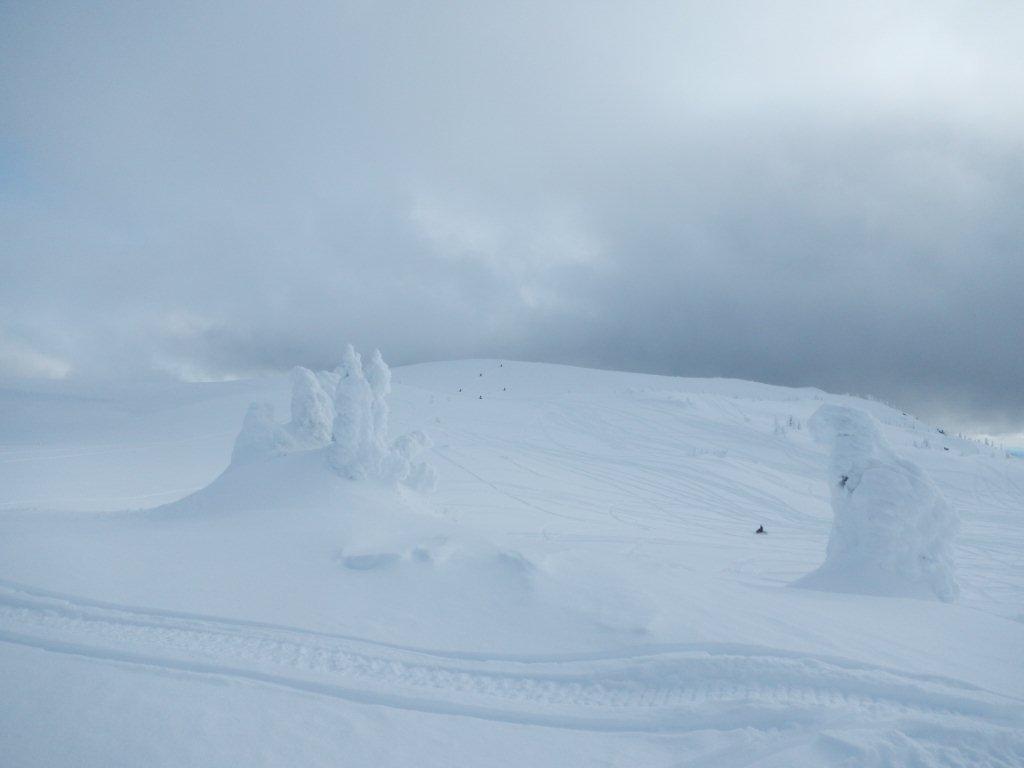 Interlakes Snowmobile Club: Big Timothy Mountain - Feb 20th
