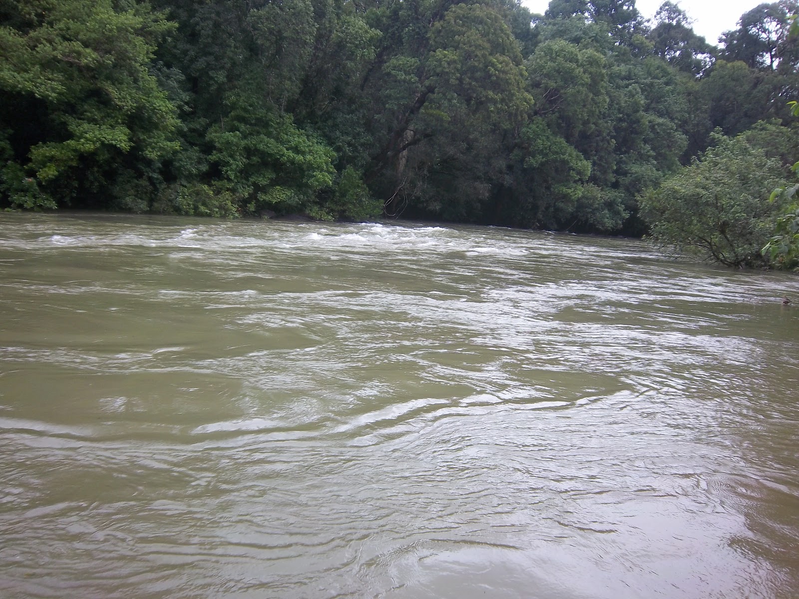 Namma Hebri: Hebri | Place where Nature Plays