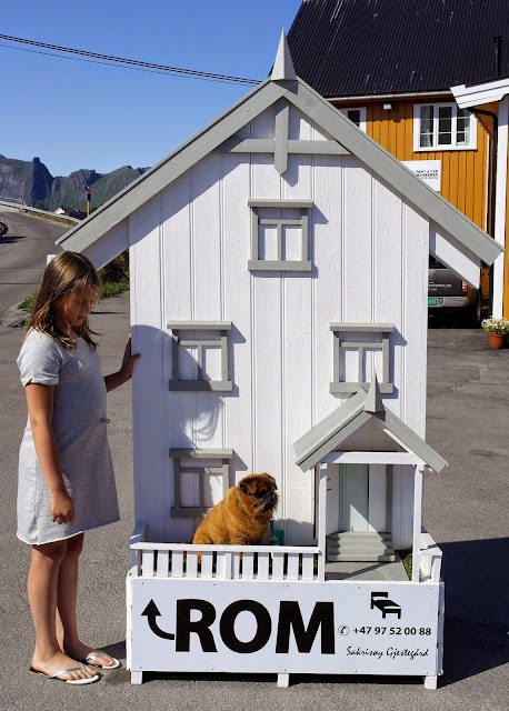 ANNEKREET KIRJUTAB JÄLLE: Lopsakad Lofoodid