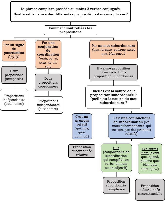 Organisation de la phrase complexe | Phrases complexes, Analyse de ...
