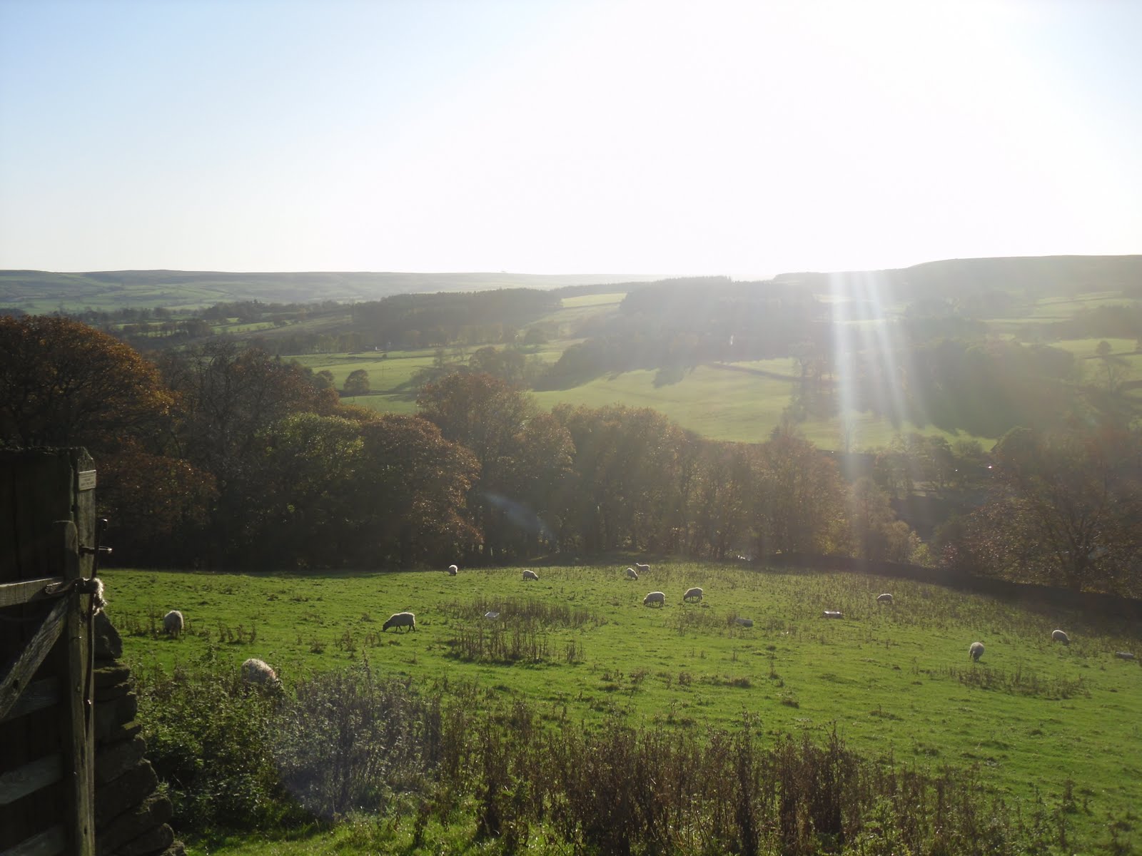 Rambling Nana: Wolsingham, Tunstall Reservoir Circular