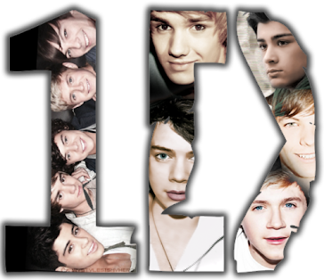 One Direction Room: One Direction