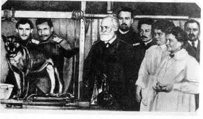 Psicologia para todos : Diferença entre Condicionamento Clássico e ...