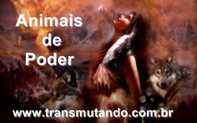 Transmutando: Animais de Poder - O que são?