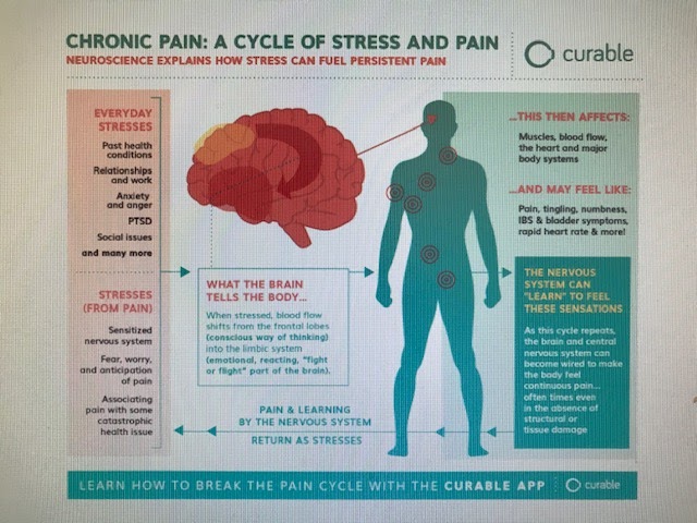 Foot and Ankle Problems By Dr. Richard Blake: Chronic Pain: Curable App ...