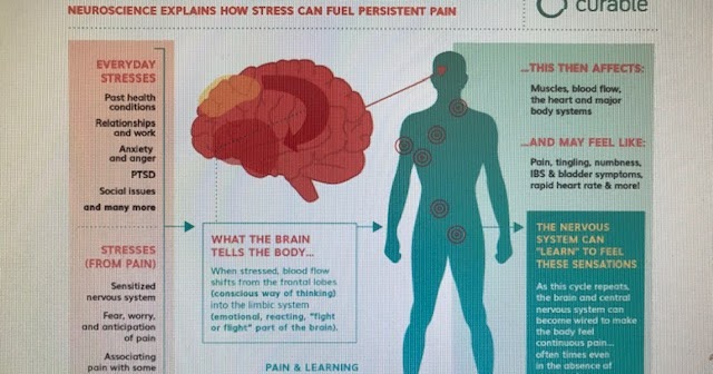 Foot and Ankle Problems By Dr. Richard Blake: Chronic Pain: Curable App ...