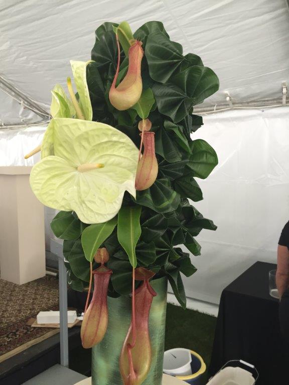 Kanawha Garden Club: The Amazing Art of Leaf Manipulation