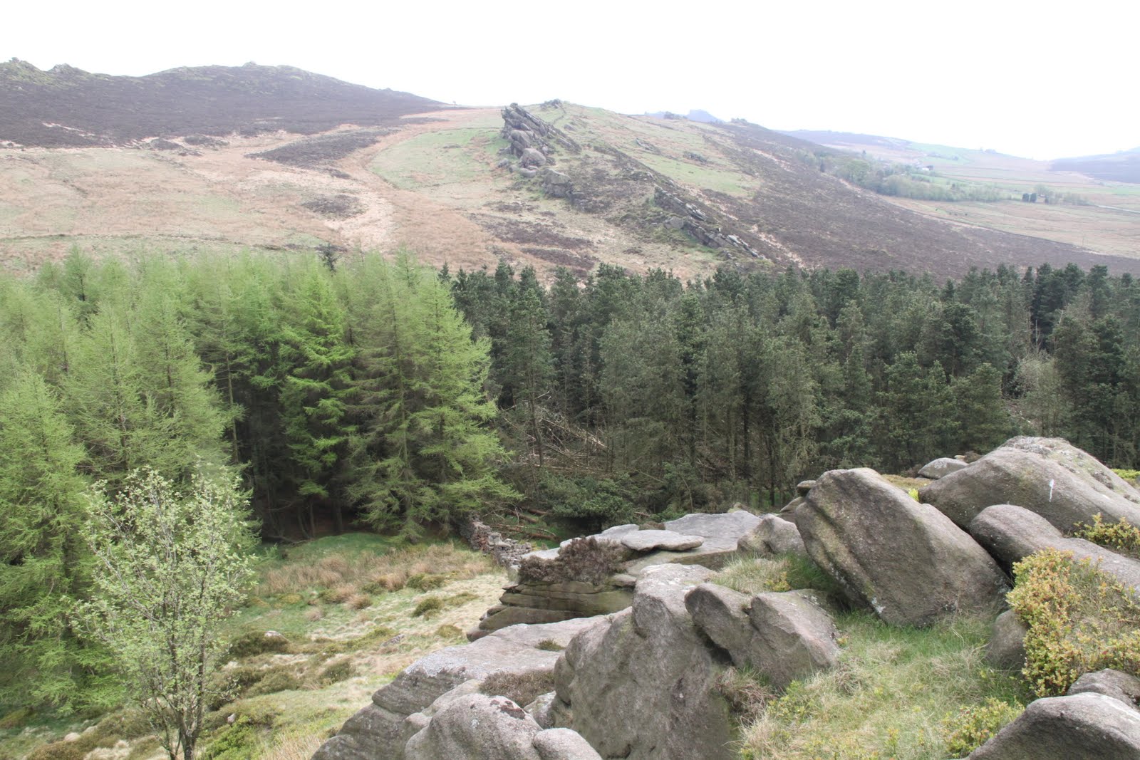beyond my gate: Blackbrook Nature Reserve