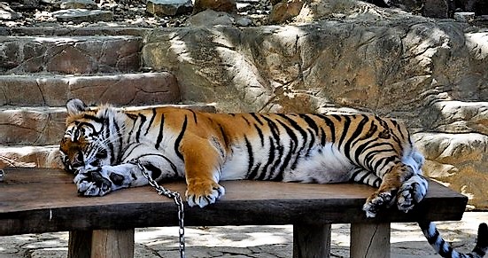 Adventure Ilocos: Baluarte ni Chavit Singson