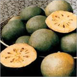 Bael Fruit