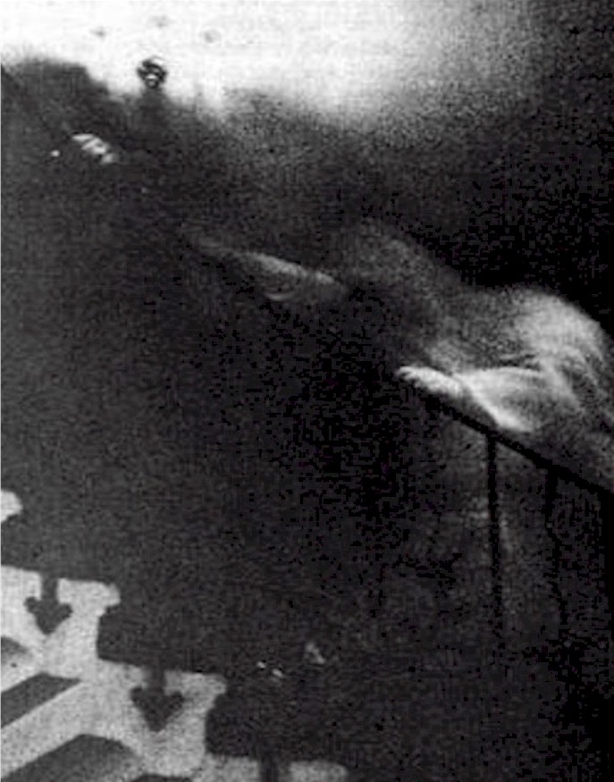 5 Most Mysterious Ghost photos which puzzled the world - We Count 5