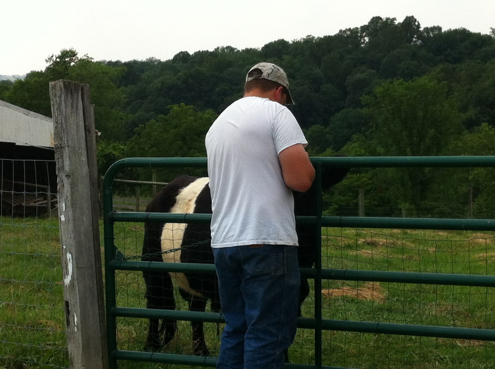 Down On The (Howard Family) Farm