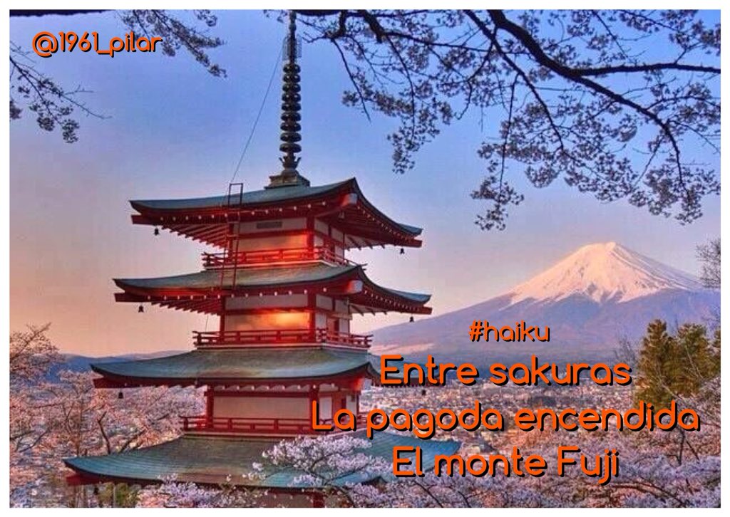 Versos a flor de piel: HAIKU 10 ENTRE SAKURAS...
