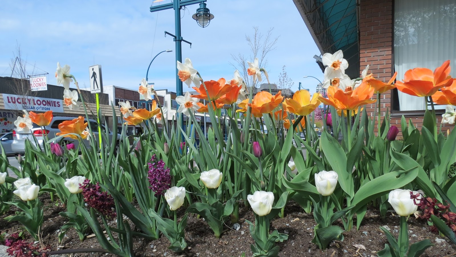 stormidae: a little PoCo spring