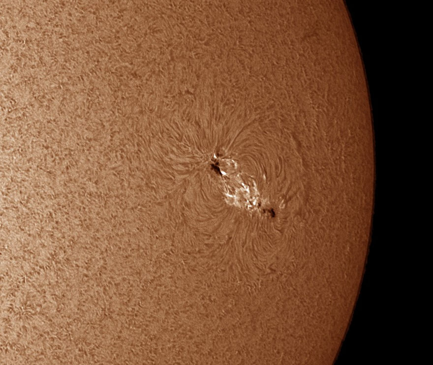 Circolo Pinerolese Astrofili Polaris: Sunspot AR1726
