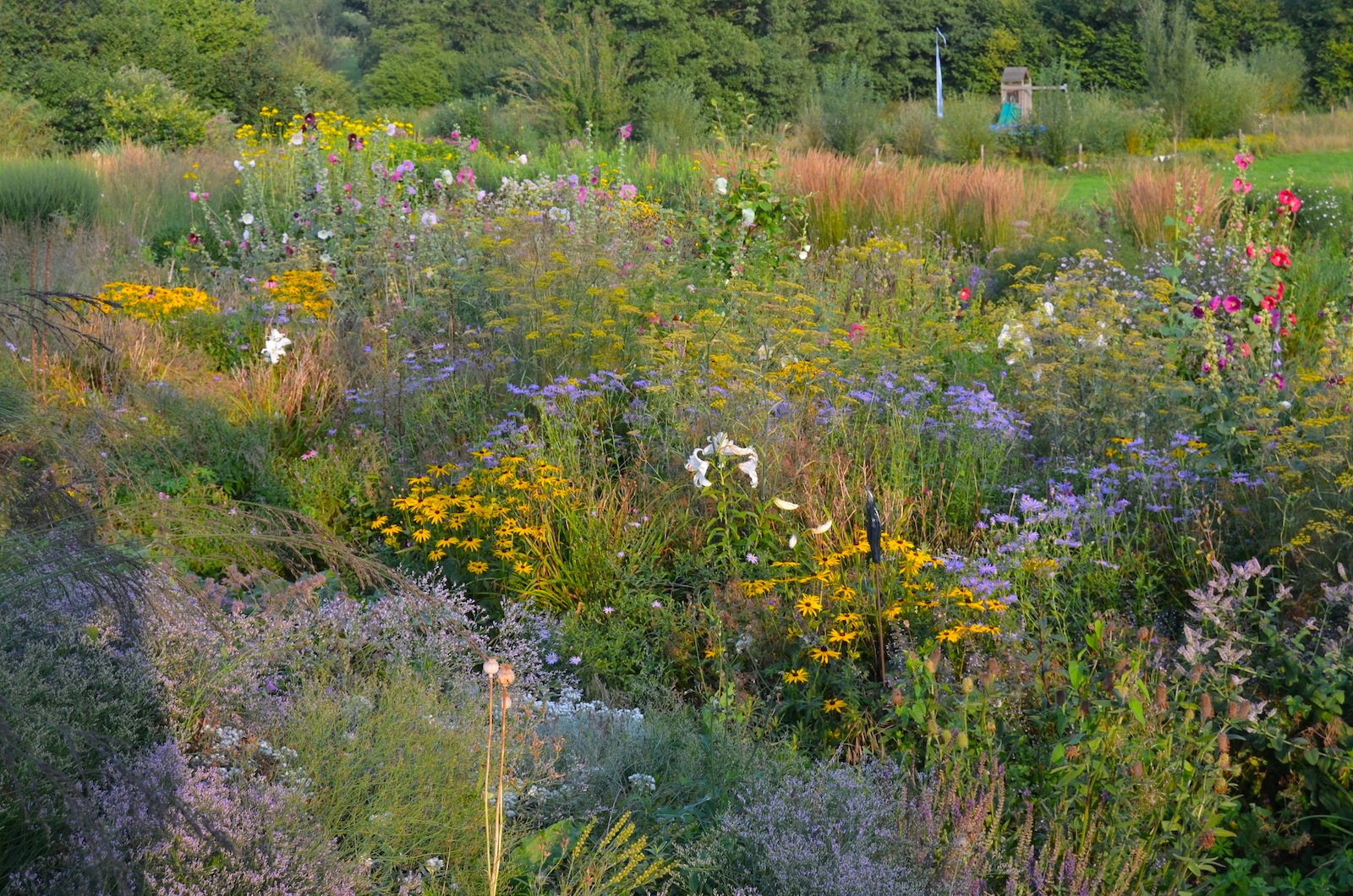 Noel's Garden Blog: Its all in the mix..... resources for understanding ...