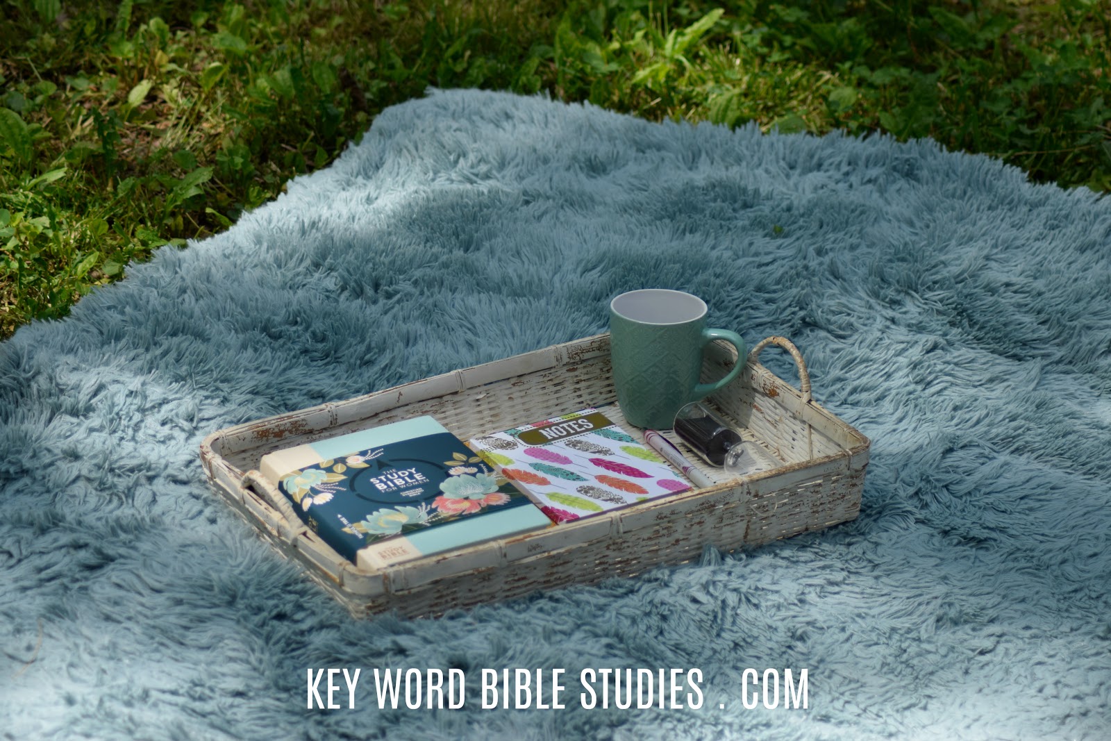 The CSB Study Bible for Women: Beautiful Biblical Blessings, Blooms ...