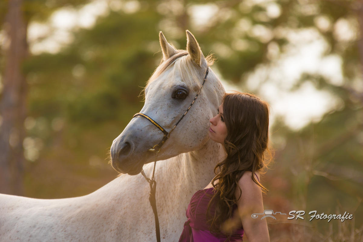 SR Fotografie: Workshop Pferdefotografie von TomsPic am 12.03.2016