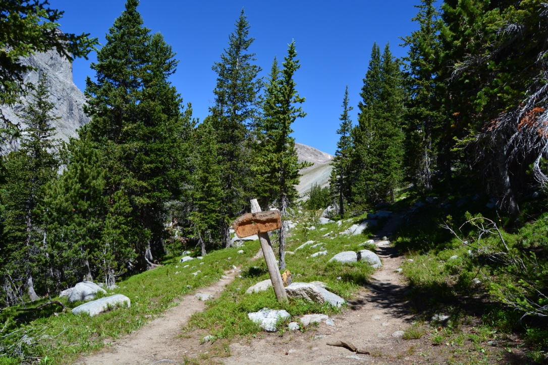 Home on the Range: Tallest Ridge