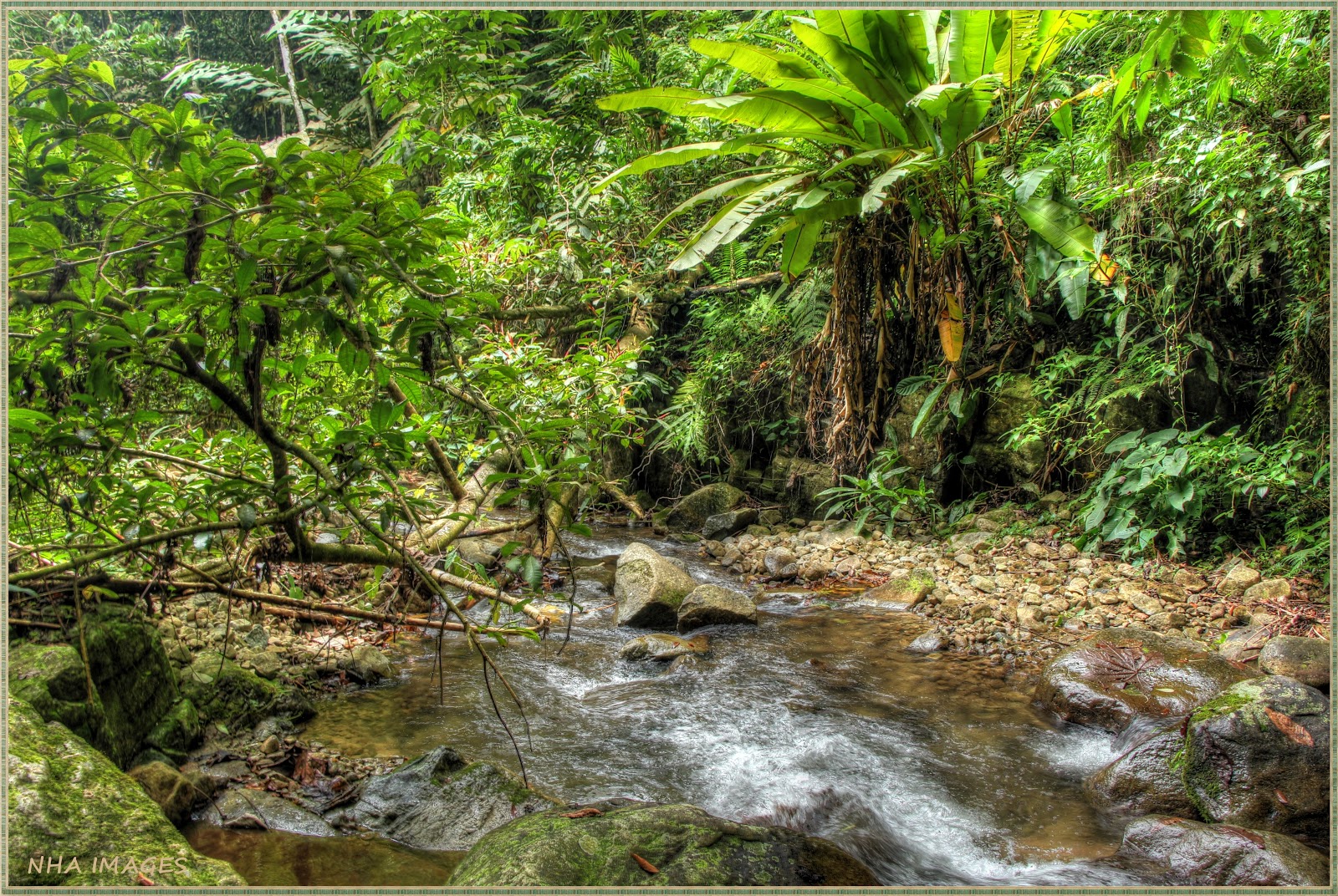 Story of My Life: Hiking @ Air Terjun Lepoh