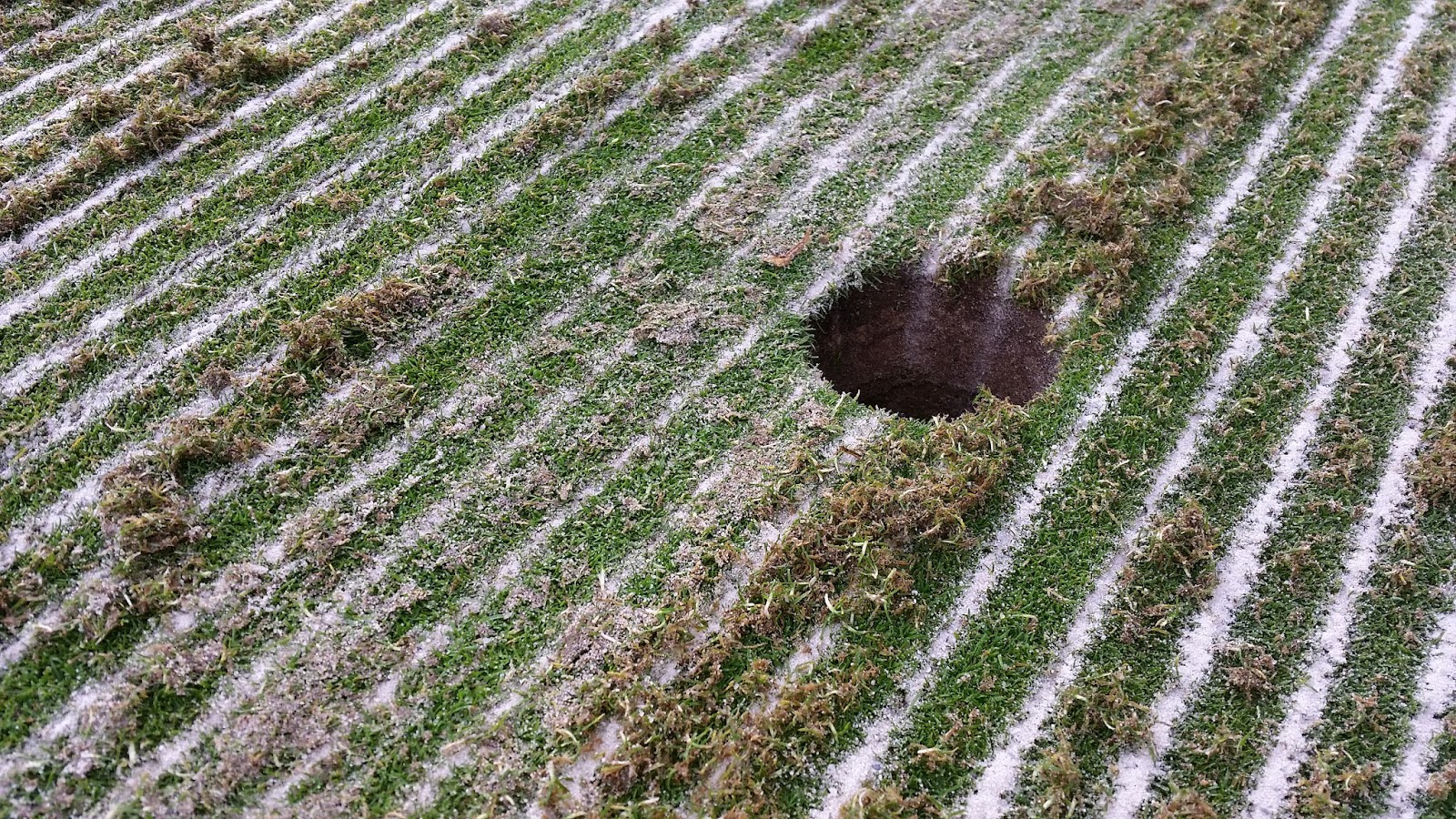 Murrayfield Golf Club - Course Management Blog : Sand Injection