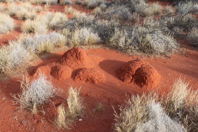 ULURU zuragnuud 3 | ЧИНГИС ХААН: