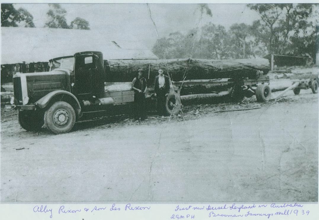 What's new at Nelligen?: What's old at Nelligen?