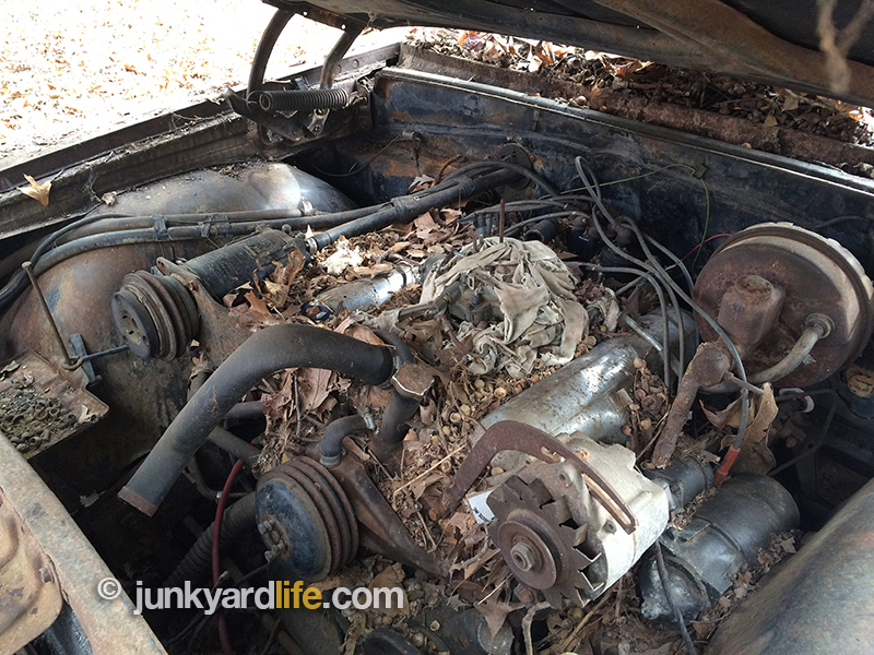 Junkyard Life: Classic Cars, Muscle Cars, Barn finds, Hot rods and part ...