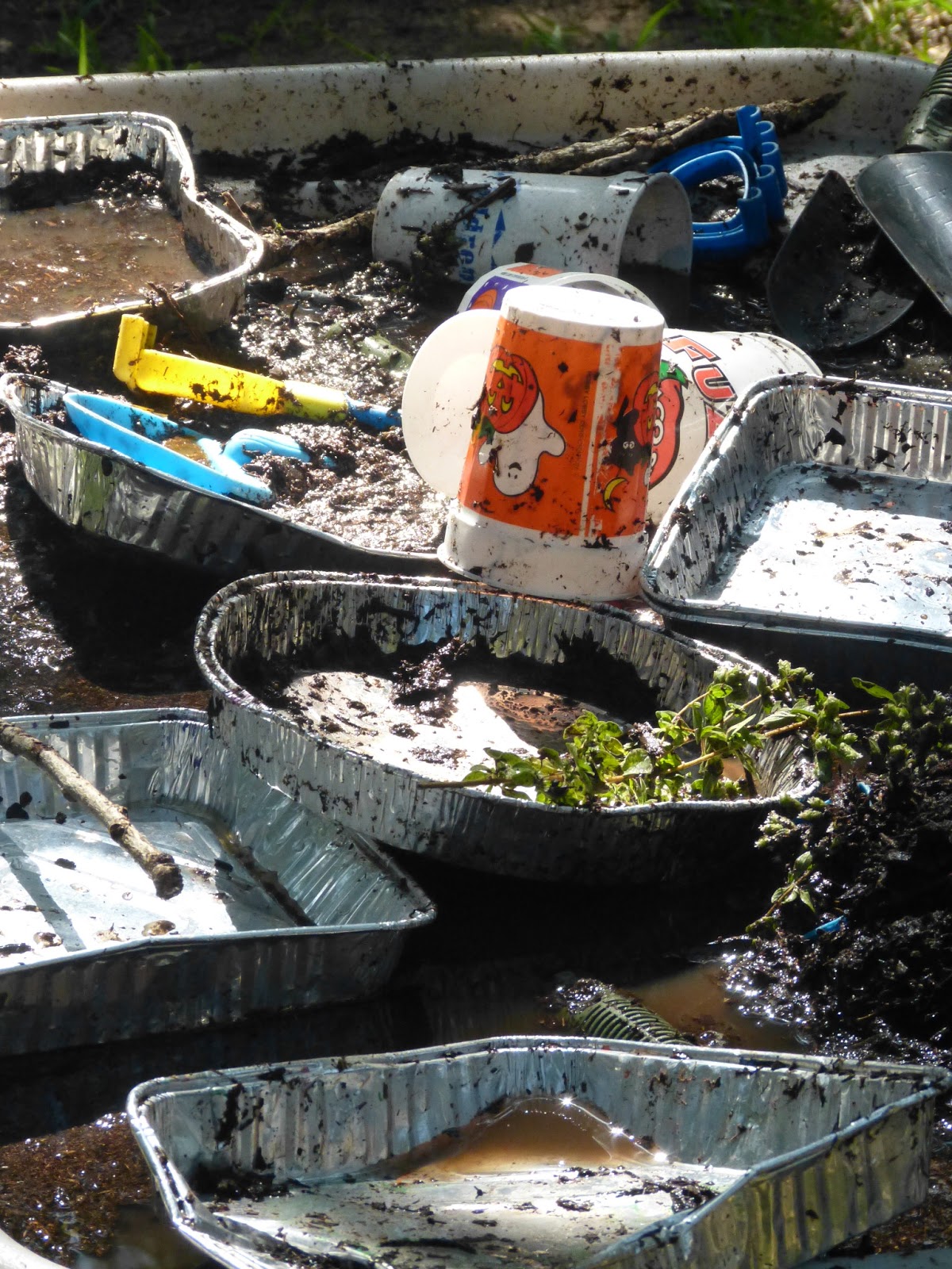 Paula's Primary Classroom: International Mud Day