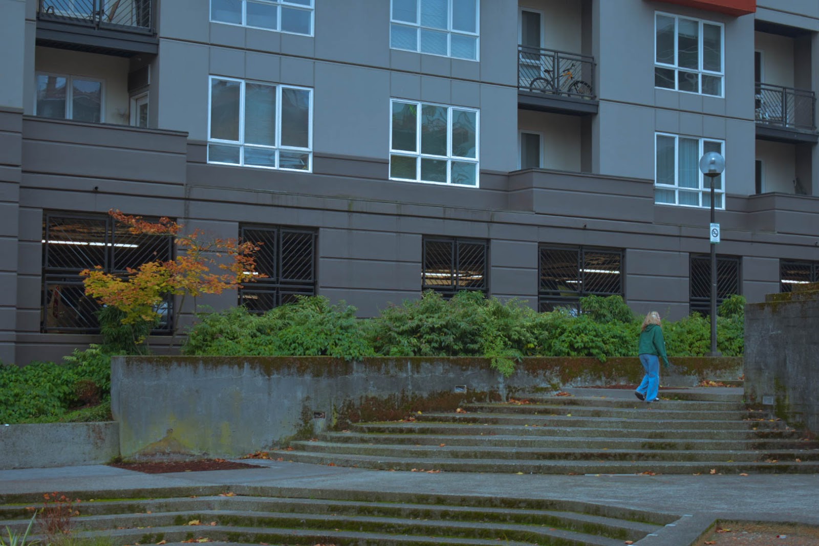 Project #4 - Contrast and Balance