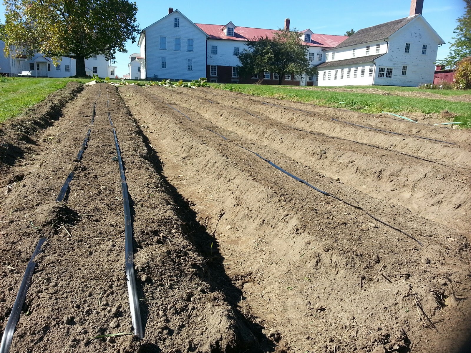 Farm 2 Fork: Raise the Beds!