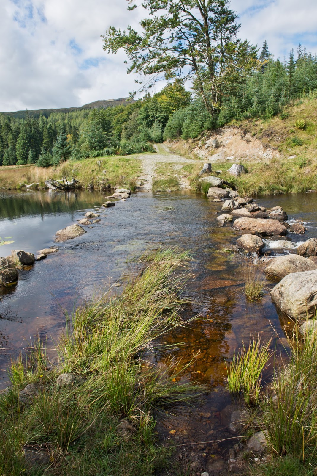 Wigtwizzle - Norman Smith's Travel Blog.: Harrop Tarn and Thirlmere