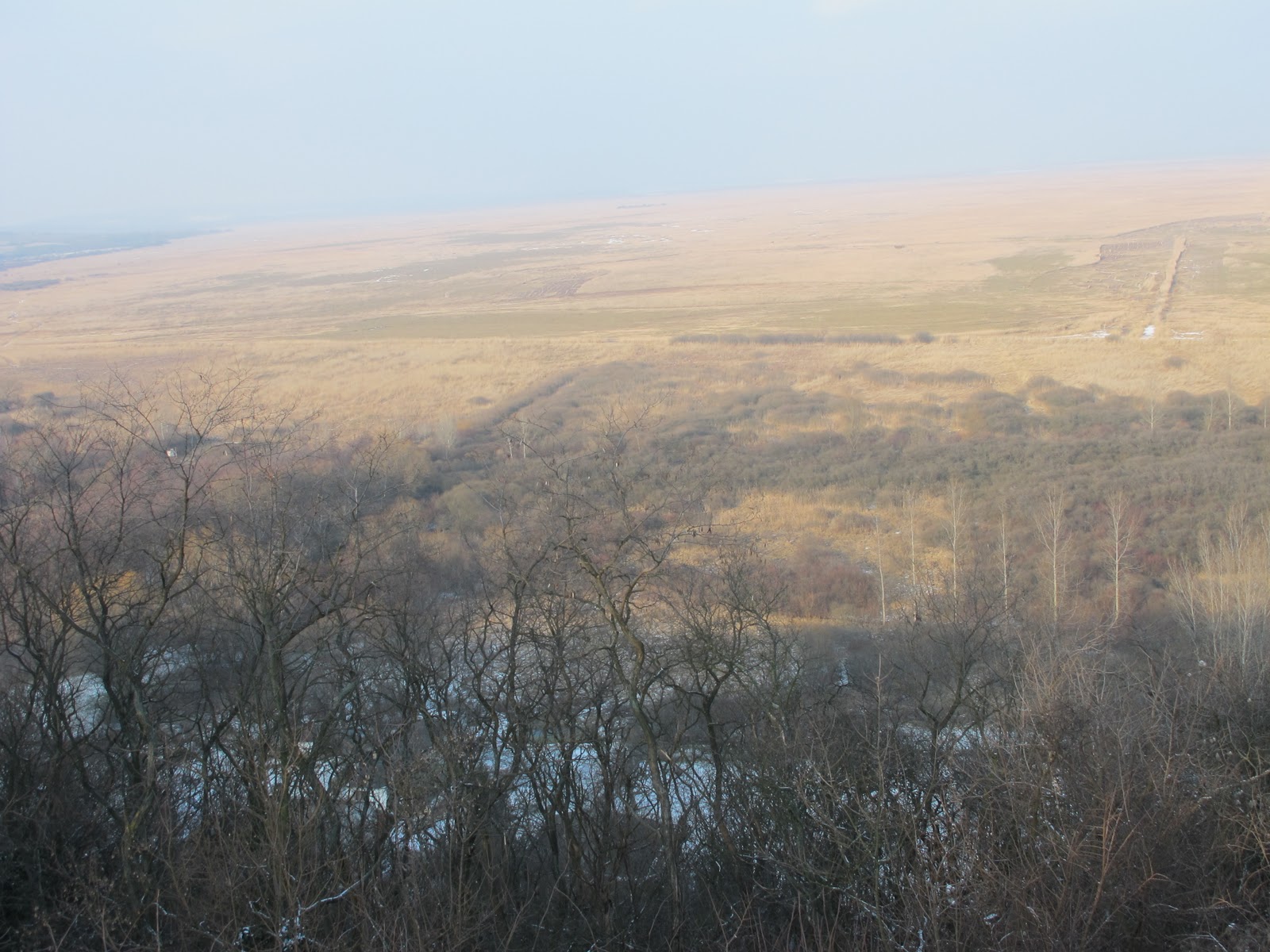 postcards from miss igorota: Miss Iggy in Sopron, Hungary