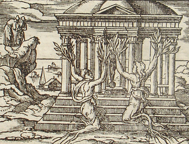 Teseu: Filèmon i Baucis